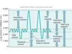 PPT - Lung Volumes PowerPoint Presentation, free download - ID:1883512