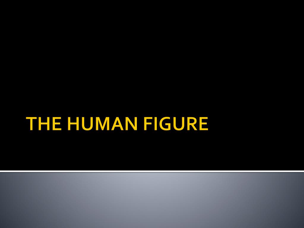 PPT - THE HUMAN FIGURE PowerPoint Presentation, free download - ID:2644855