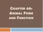 PPT - Animal Form and Function PowerPoint Presentation, free download ...