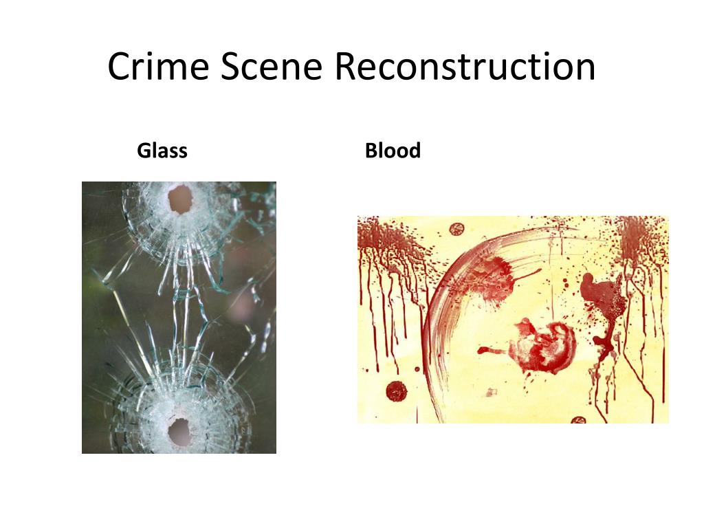 PPT - Crime Scene Reconstruction PowerPoint Presentation, free download ...