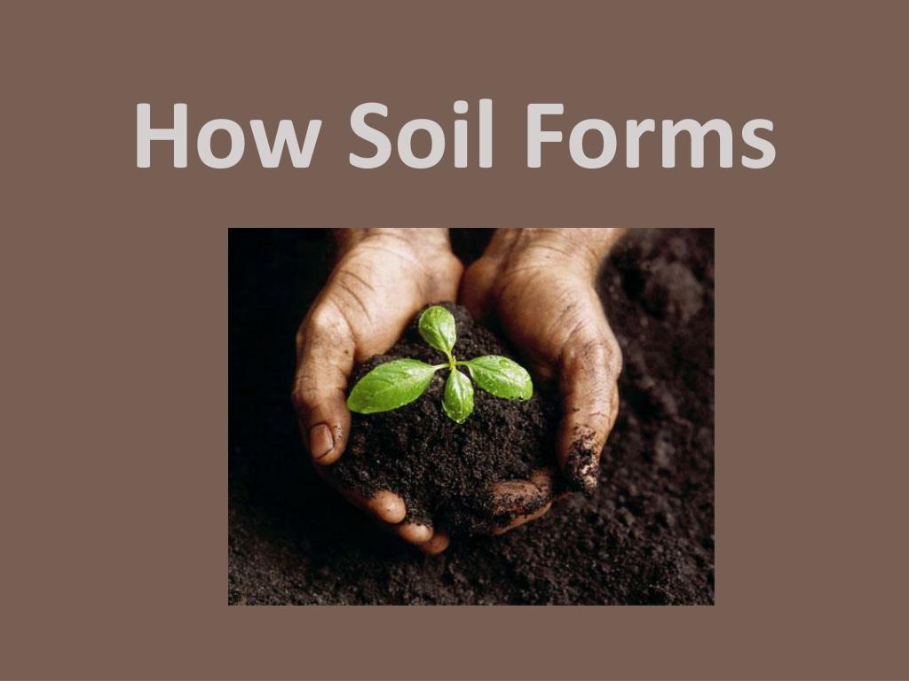PPT - How Soil Forms PowerPoint Presentation, free download - ID:2647146