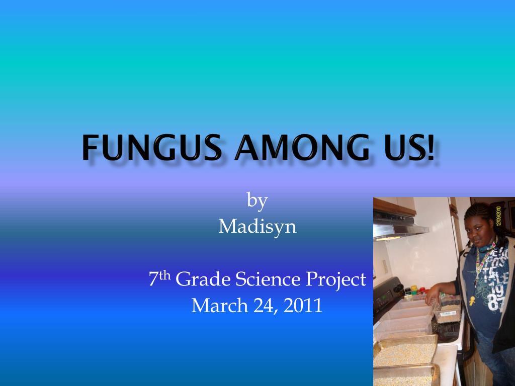 PPT - Fungus Among Us! PowerPoint Presentation, free download - ID:2647231