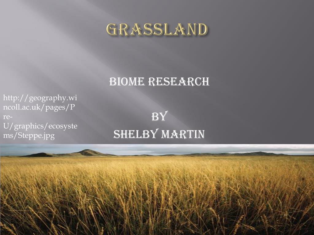 PPT - Grassland PowerPoint Presentation, free download - ID:2647761