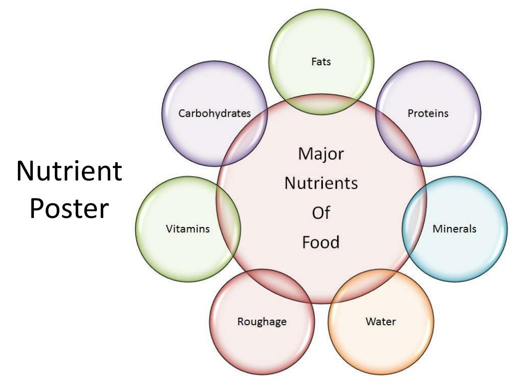 PPT - Nutrient Poster PowerPoint Presentation, free download - ID:2650523