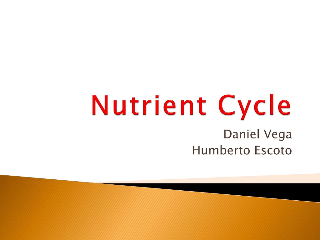 PPT - Nutrient Cycle PowerPoint Presentation, free download - ID:2650530