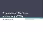 PPT - Transmission Electron Microscopy (TEM) PowerPoint Presentation ...
