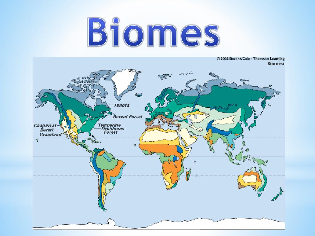 PPT - Biomes PowerPoint Presentation, free download - ID:2652482