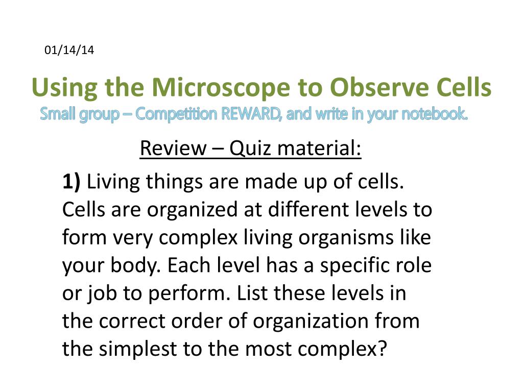 PPT - Using the Microscope to Observe Cells PowerPoint Presentation ...
