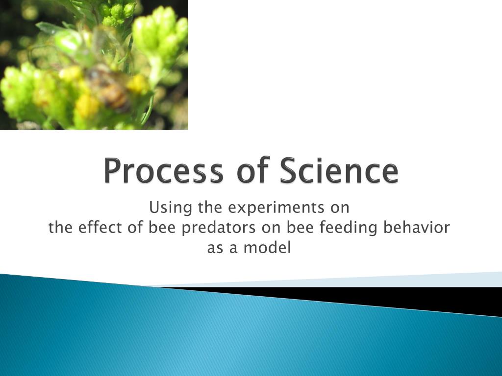 PPT - Process of Science PowerPoint Presentation, free download - ID ...