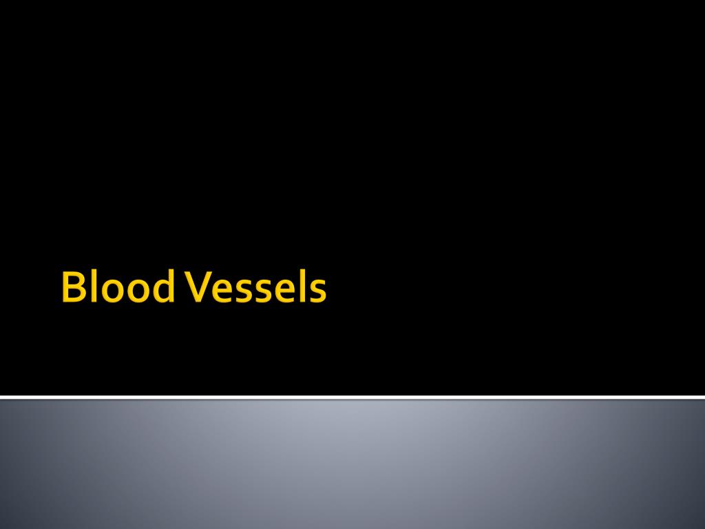PPT - Blood Vessels PowerPoint Presentation, free download - ID:2653385