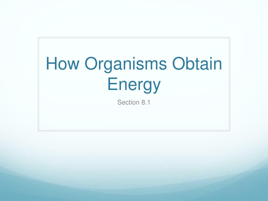 PPT - How Organisms Obtain Energy PowerPoint Presentation, free ...