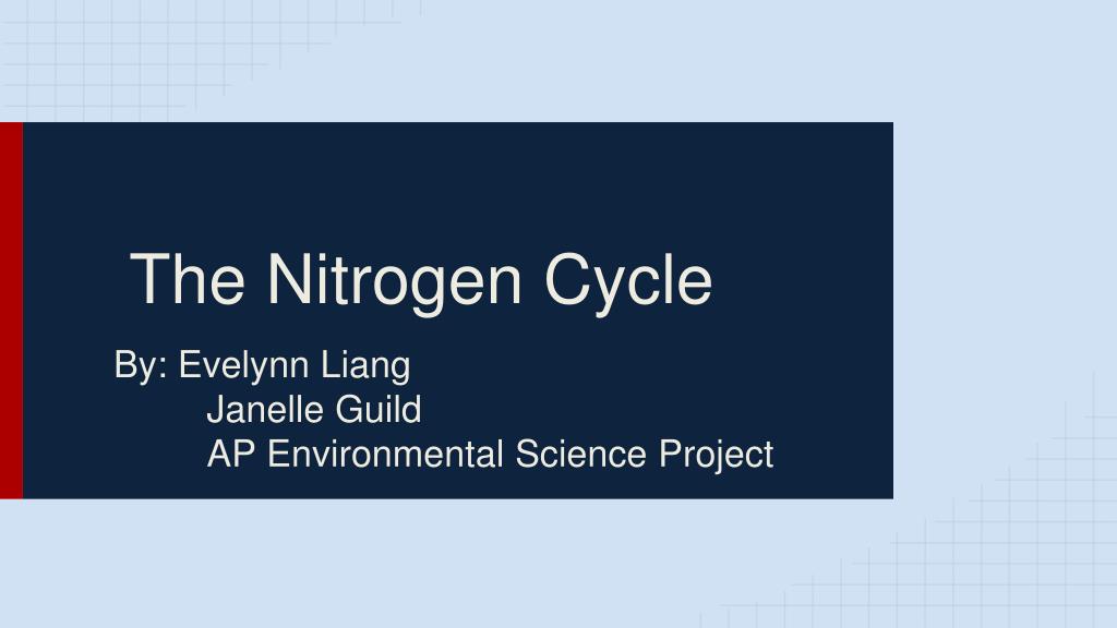 PPT - The Nitrogen Cycle PowerPoint Presentation, free download - ID ...