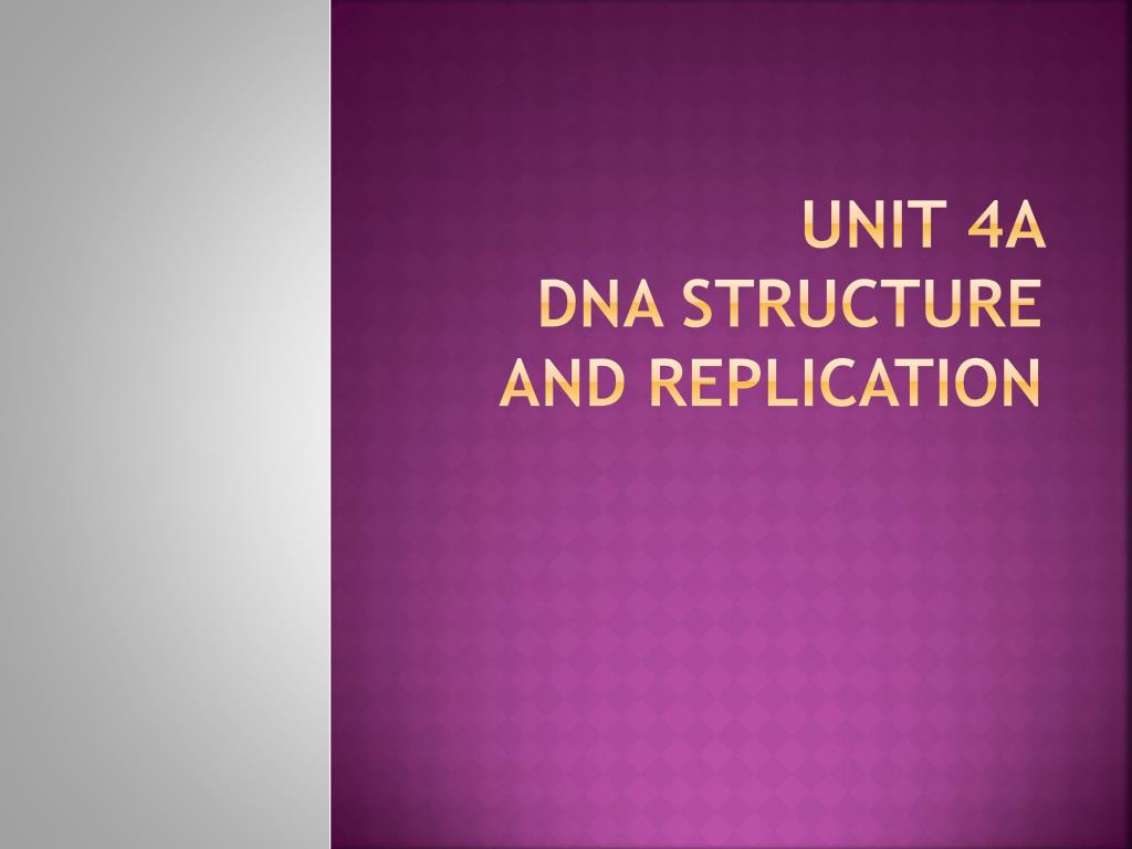 PPT - Unit 4A DNA Structure and replication PowerPoint Presentation ...