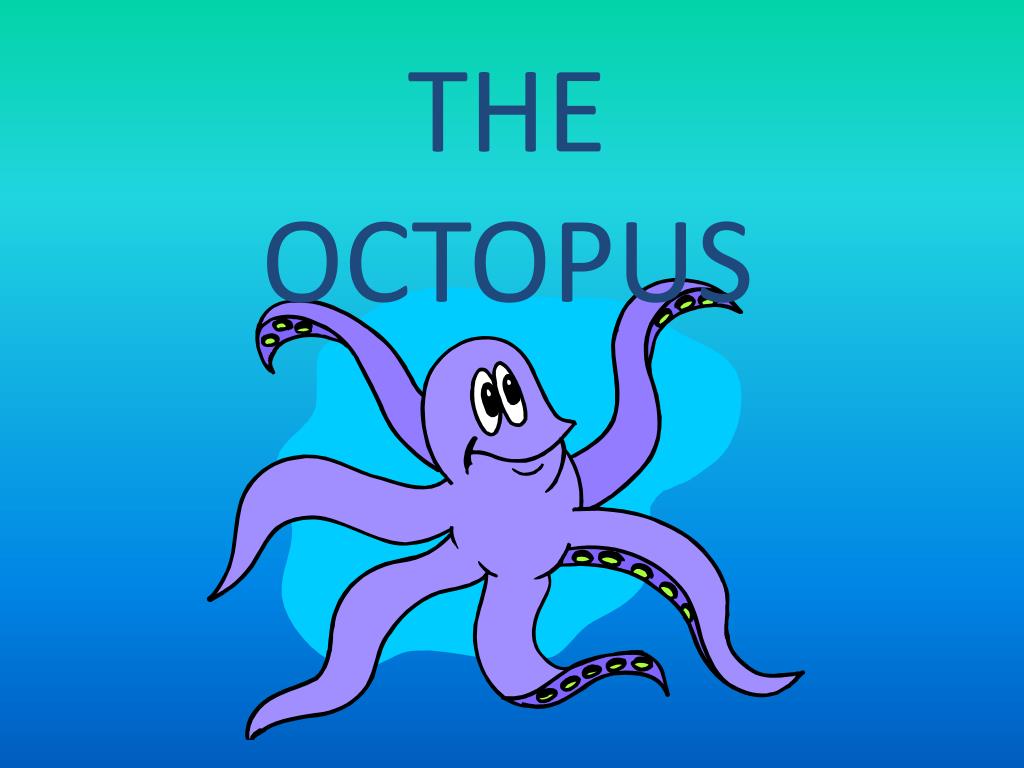 PPT - THE OCTOPUS PowerPoint Presentation, free download - ID:2654714