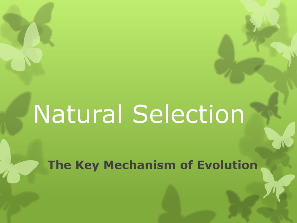 PPT - Natural Selection PowerPoint Presentation, free download - ID:2657730