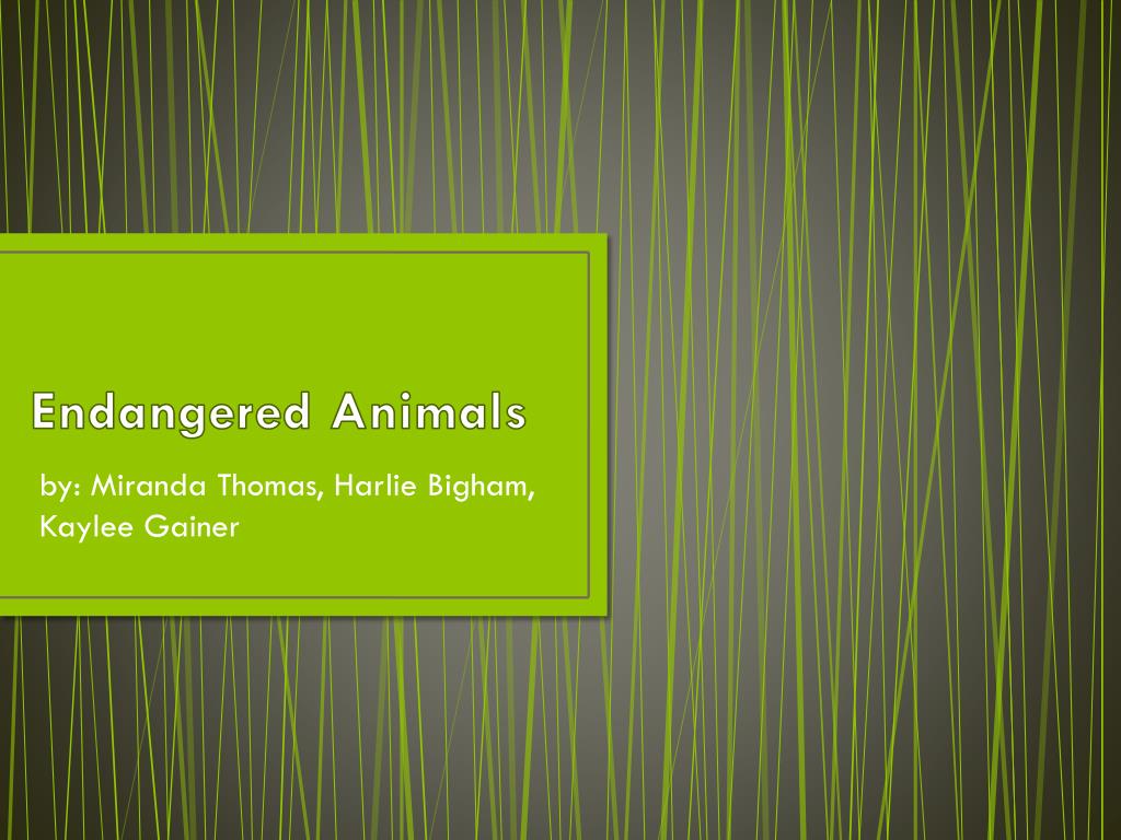 PPT - Endangered Animals PowerPoint Presentation, free download - ID ...
