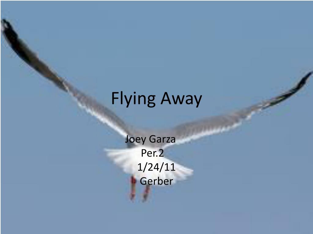 PPT - Flying Away PowerPoint Presentation, free download - ID:2660011