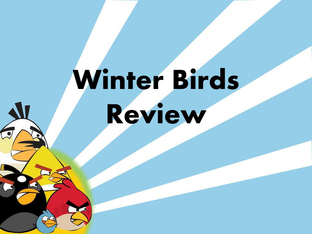 PPT - Winter Birds Review PowerPoint Presentation, free download - ID ...