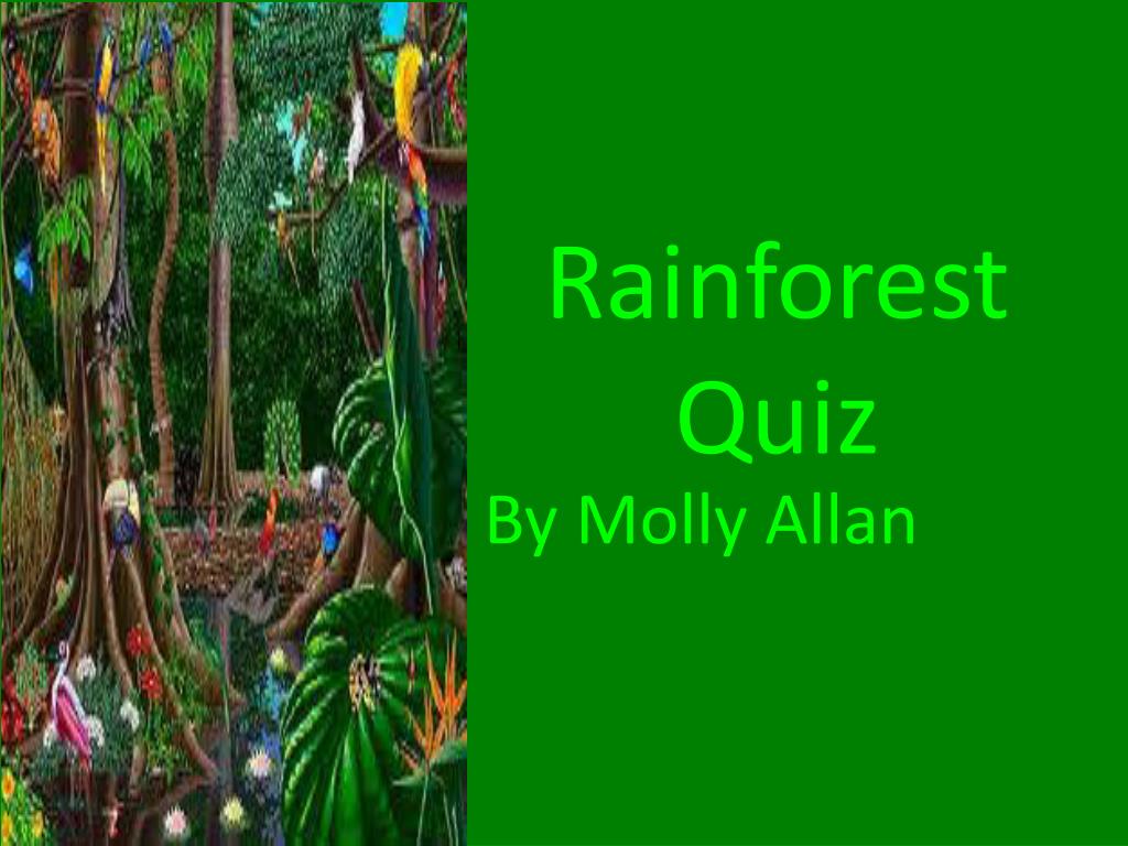 PPT - Rainforest Quiz PowerPoint Presentation, free download - ID:2661640