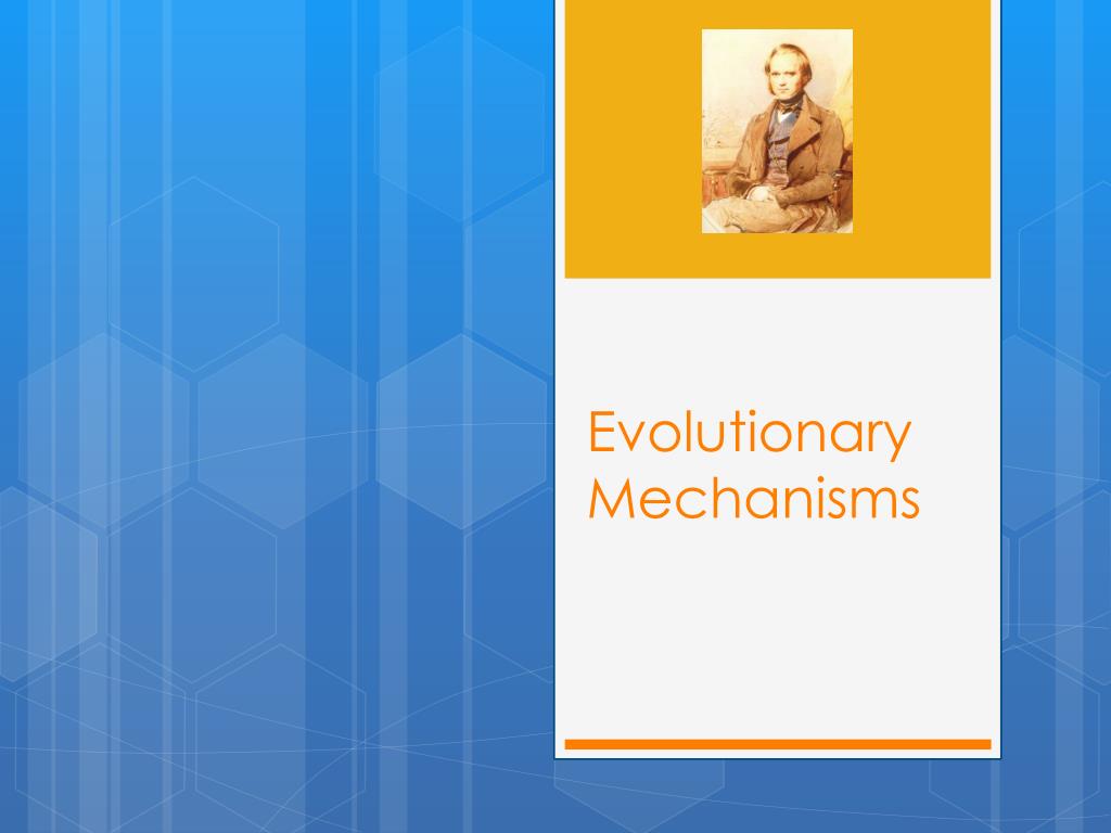 PPT - Evolutionary Mechanisms PowerPoint Presentation, free download ...