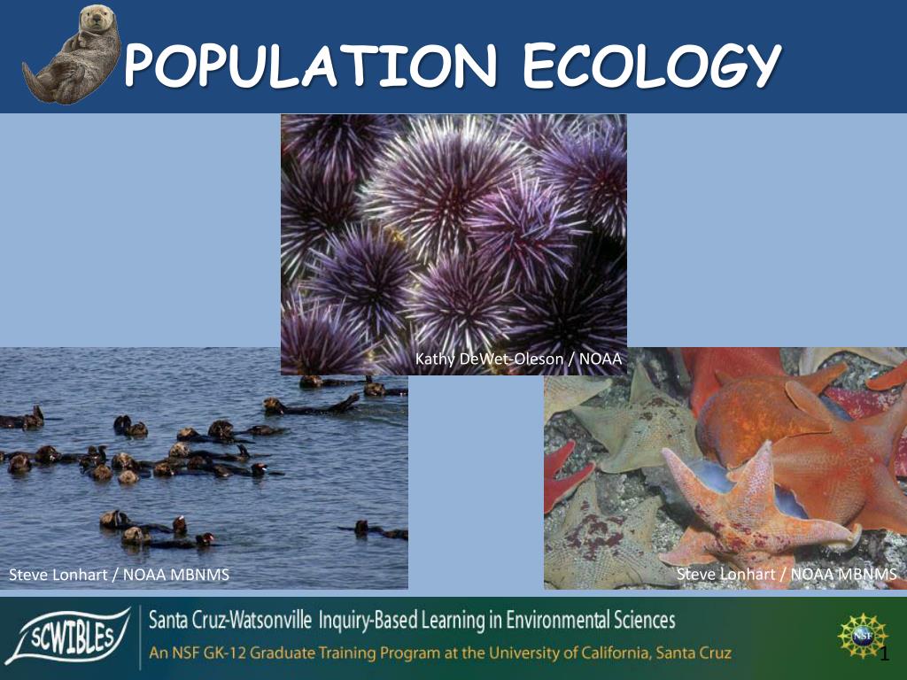 PPT - POPULATION ECOLOGY PowerPoint Presentation, free download - ID ...