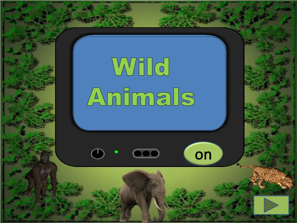 PPT - Wild Animals PowerPoint Presentation, free download - ID:2664374