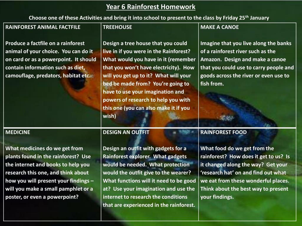 PPT - Year 6 Rainforest Homework PowerPoint Presentation, free download ...