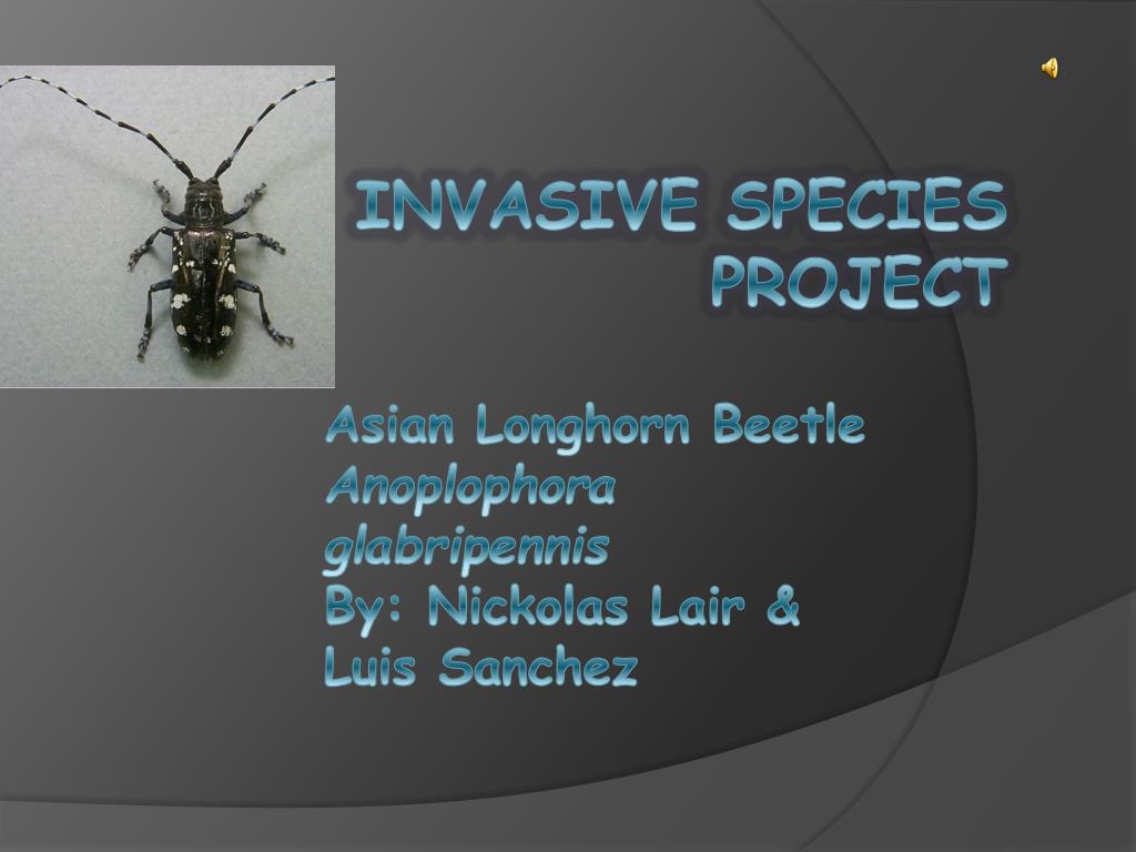 PPT - Invasive Species Project PowerPoint Presentation, free download ...