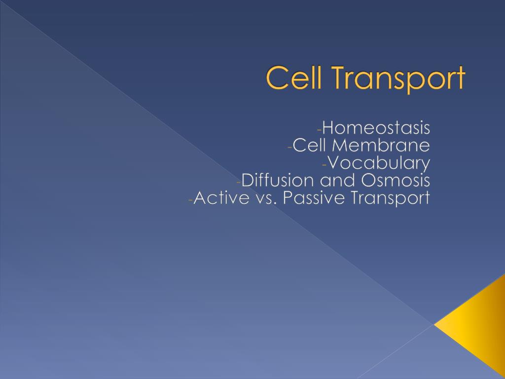 PPT - Cell Transport PowerPoint Presentation, free download - ID:2667235