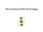 PPT - Recombinant DNA Technology PowerPoint Presentation, free download ...