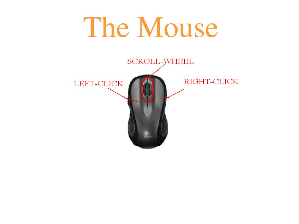 PPT - The Mouse PowerPoint Presentation, free download - ID:2668235