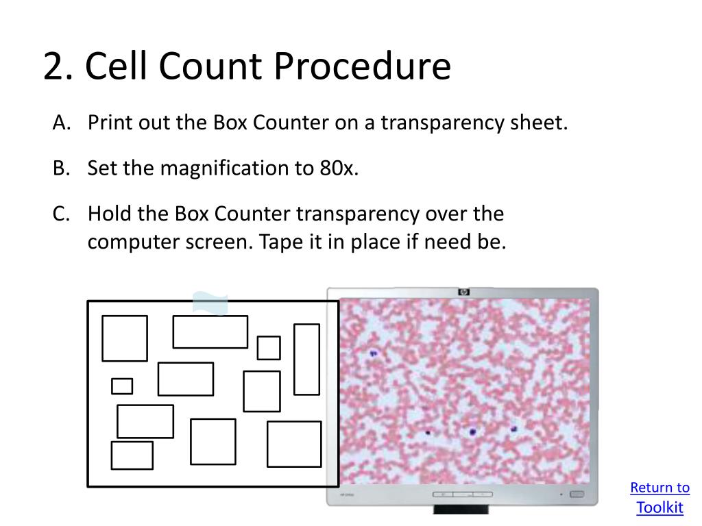 PPT - 2 . Cell Count Procedure PowerPoint Presentation, free download ...