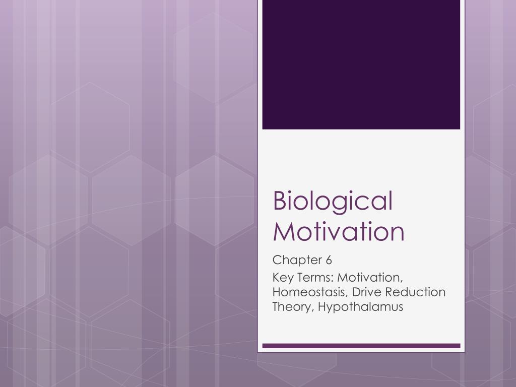 PPT - Biological Motivation PowerPoint Presentation, free download - ID ...