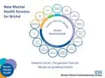 PPT - National Mental Health Programme PowerPoint Presentation, free ...