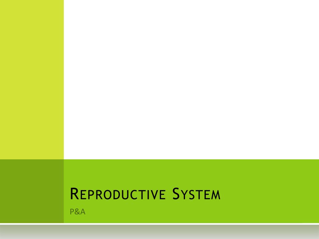 PPT - Reproductive System PowerPoint Presentation, free download - ID ...