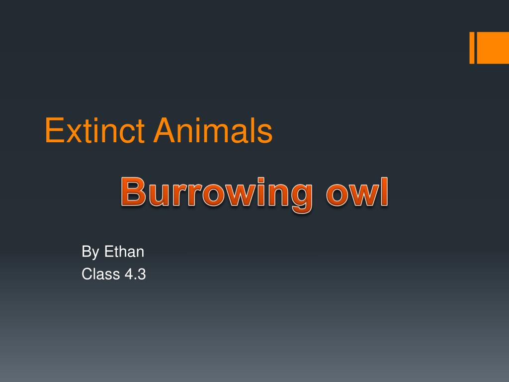 PPT - Extinct Animals PowerPoint Presentation, free download - ID:2670683