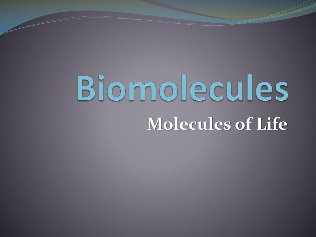 PPT - Biomolecules PowerPoint Presentation, free download - ID:2672962