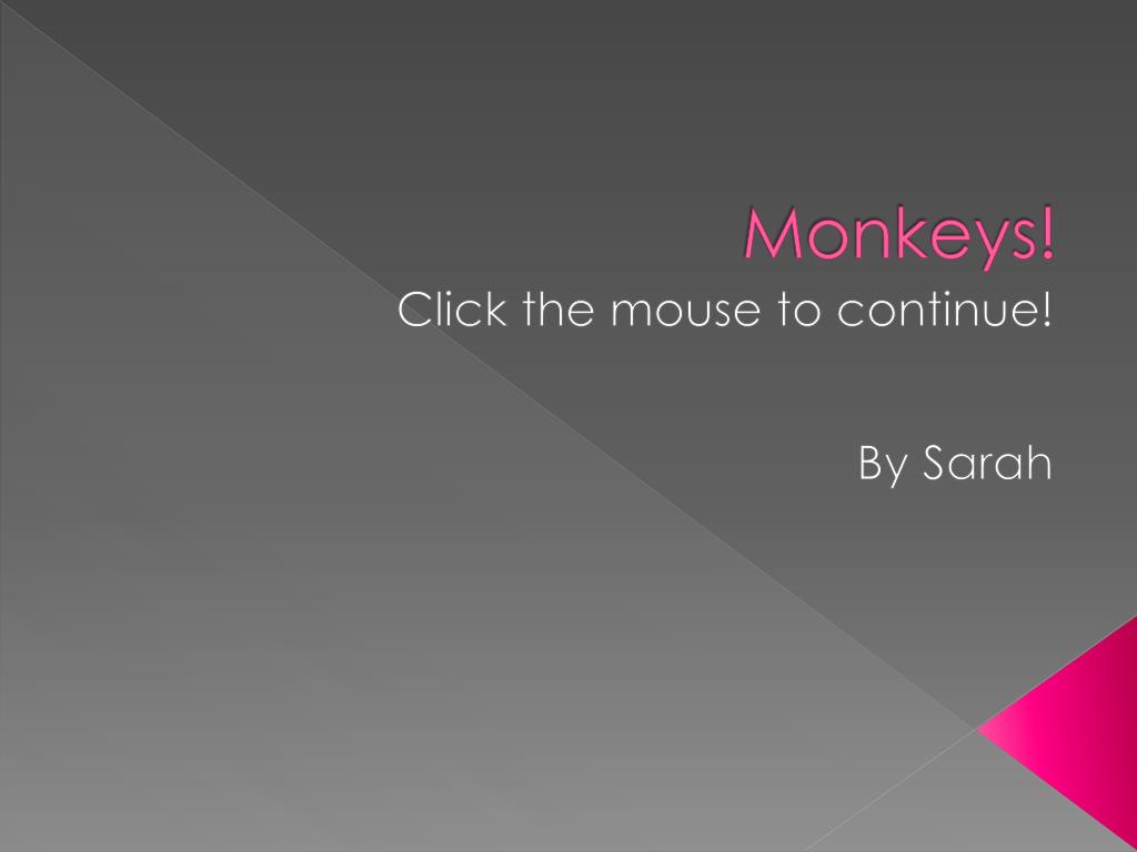 PPT - Monkeys! PowerPoint Presentation, free download - ID:2673235