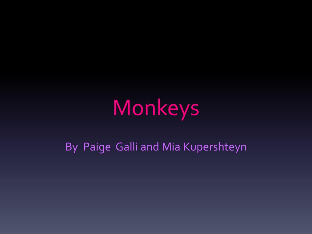 PPT - Monkeys PowerPoint Presentation, free download - ID:2673258
