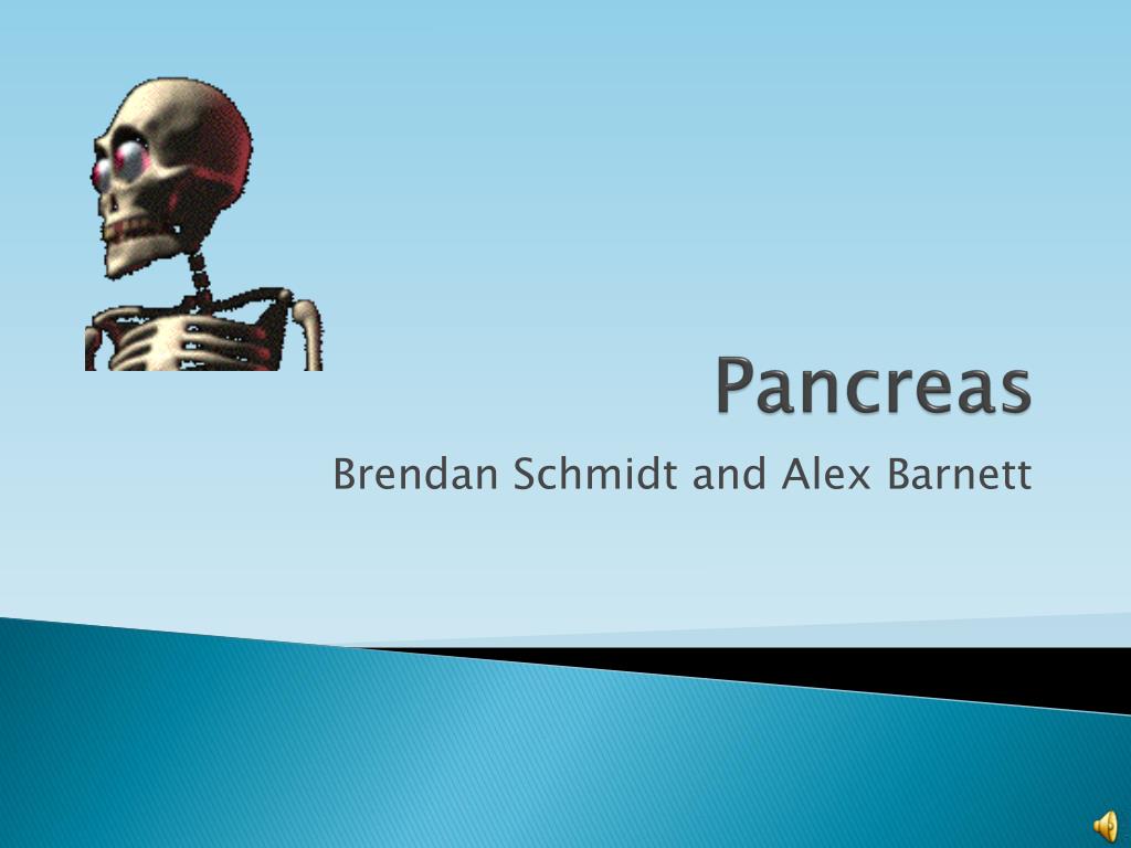 PPT - Pancreas PowerPoint Presentation, free download - ID:2673913