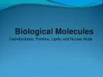 PPT - Biological Molecules Can Have Complicated Structures PowerPoint ...