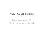 PPT - Lab Practical Information PowerPoint Presentation, free download ...