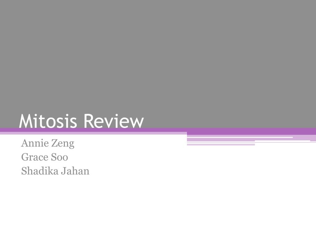 PPT - Understanding Mitosis: A Comprehensive Review PowerPoint ...