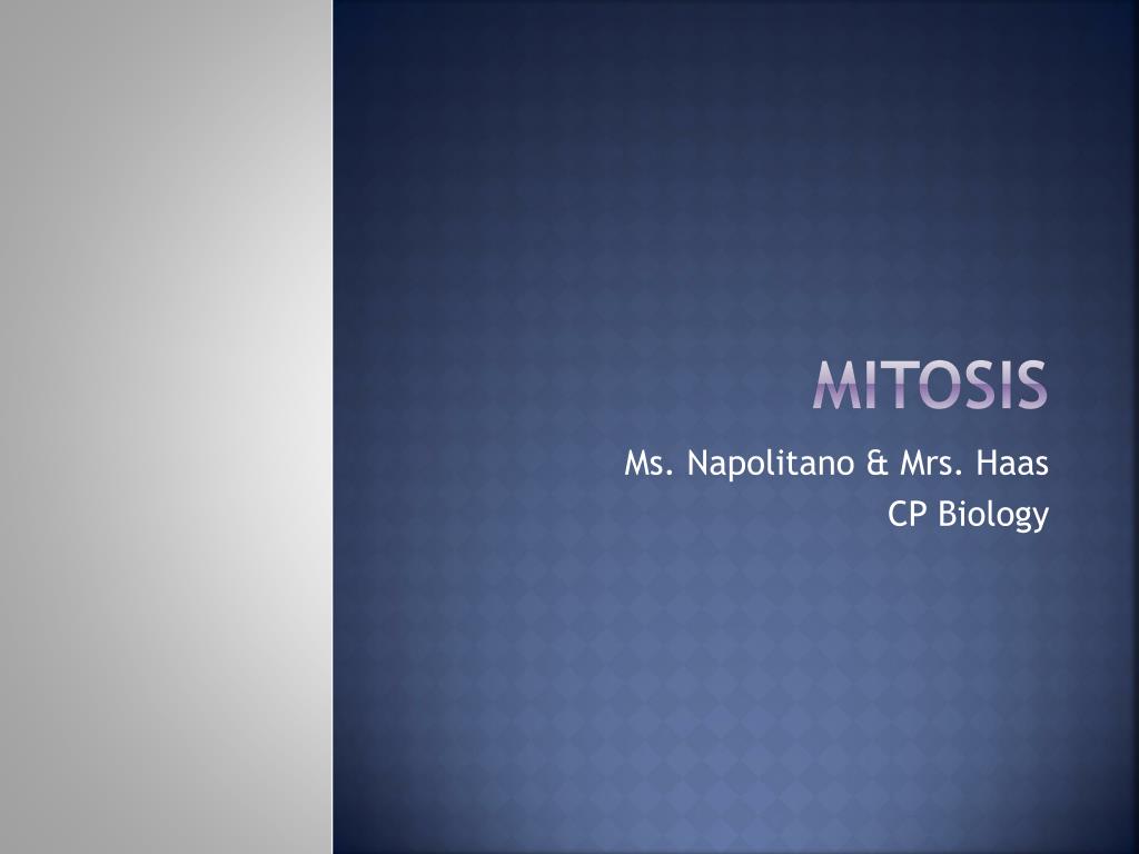 PPT - Mitosis PowerPoint Presentation, free download - ID:2677211