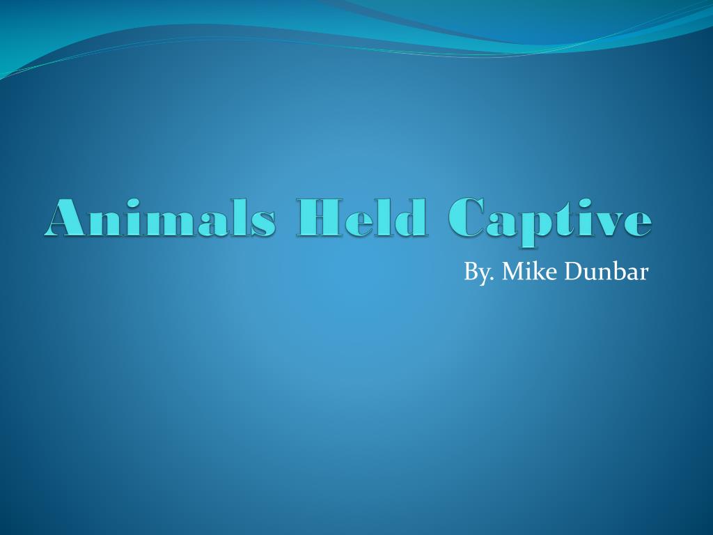 PPT - Animals Held Captive PowerPoint Presentation, free download - ID ...