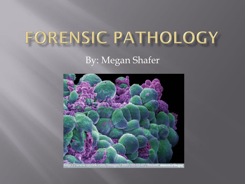 PPT - Forensic Pathology PowerPoint Presentation, free download - ID ...