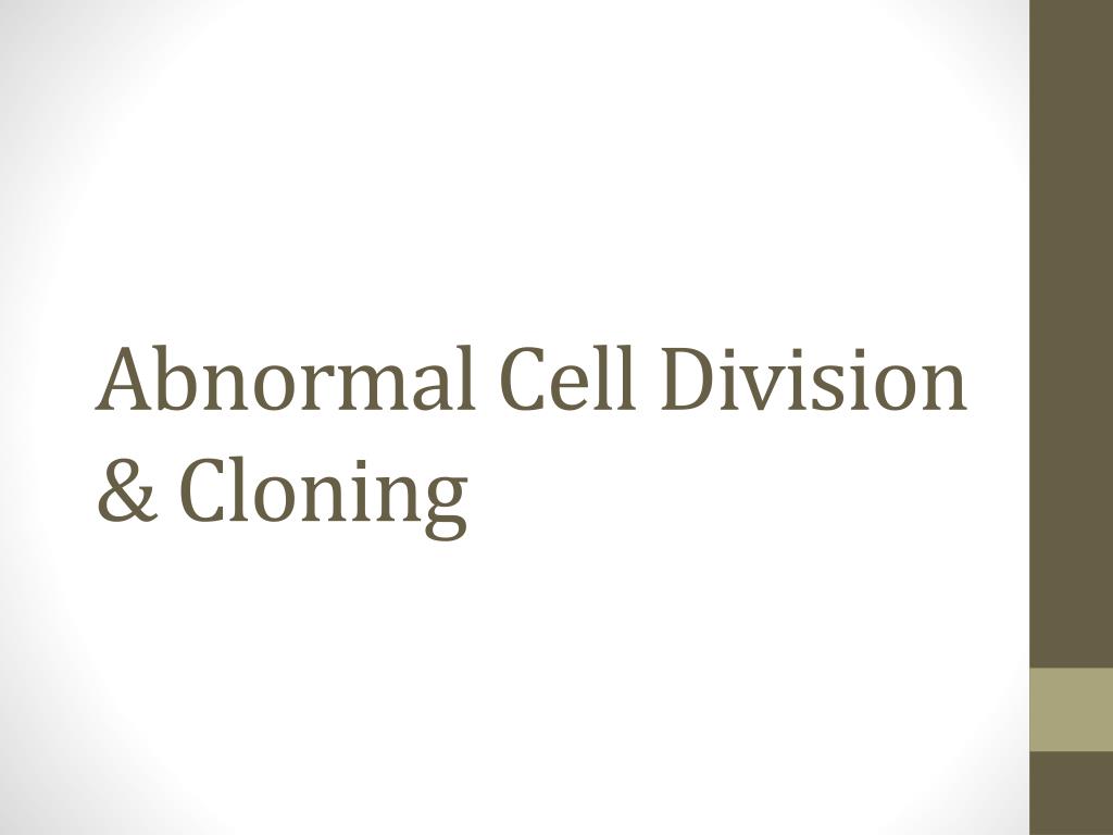 PPT - Abnormal Cell Division & Cloning PowerPoint Presentation - ID:2679815