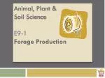 PPT - PRM 501: FORAGE SEED PRODUCTION technology PowerPoint ...