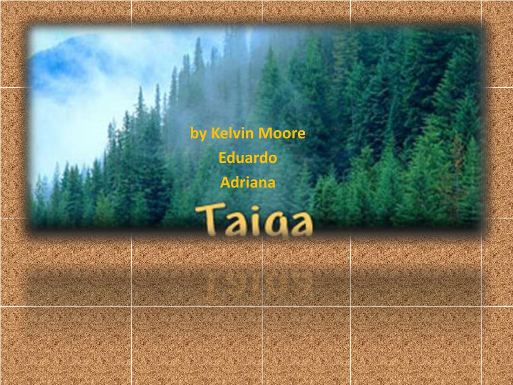 PPT - Taiga PowerPoint Presentation, free download - ID:2680394