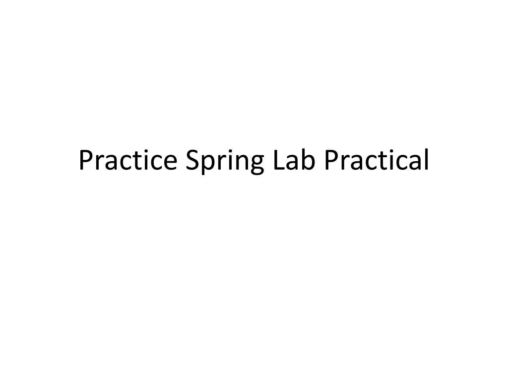 PPT - Practice Spring Lab Practical PowerPoint Presentation, free ...